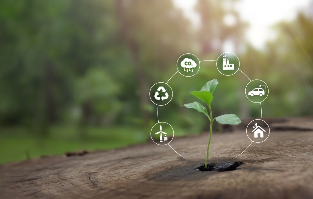 How climate impact is changing the business landscape - ClimAccelerator